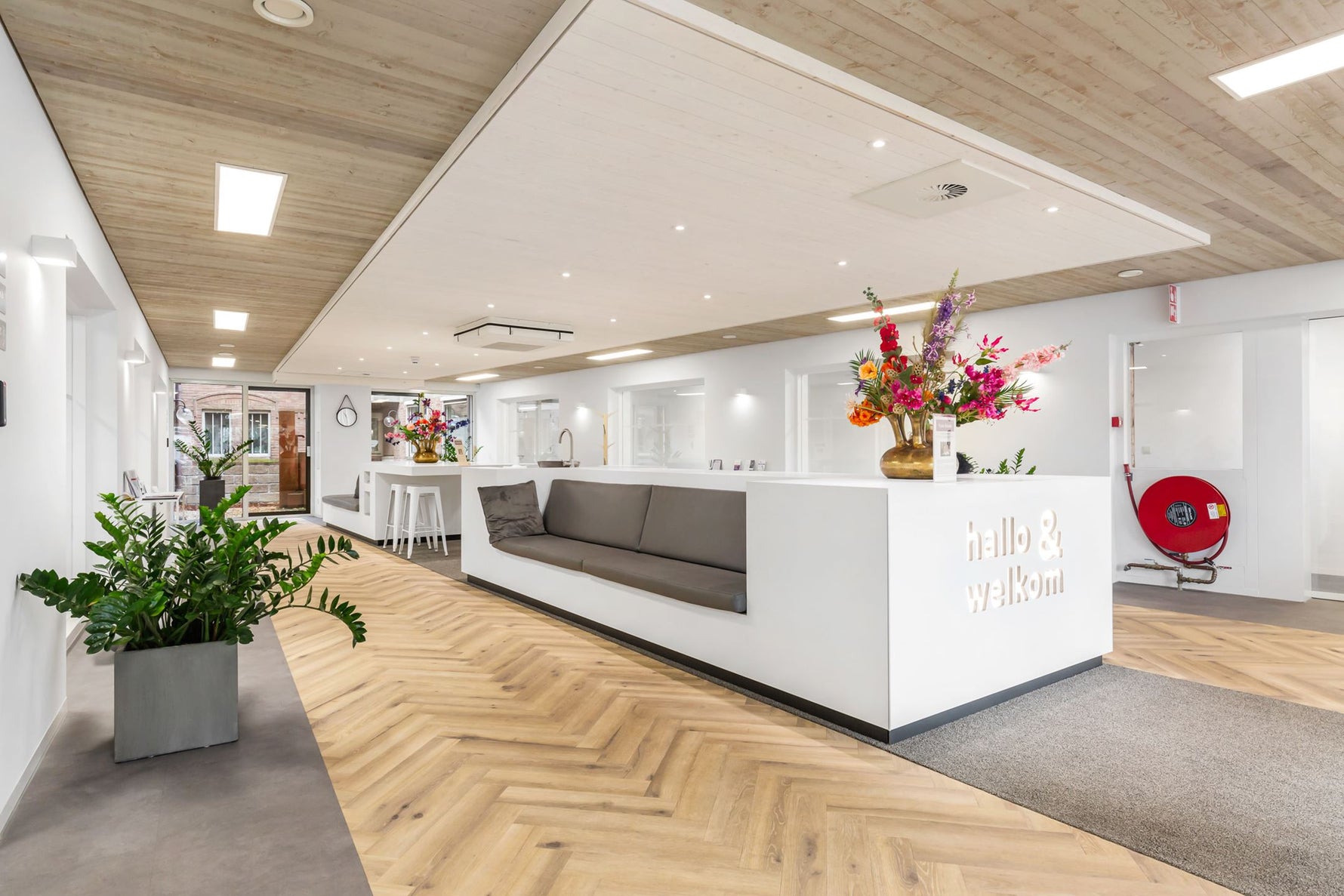 TSW Clinic – TSW behandeling & CAP-therapie in Nederland